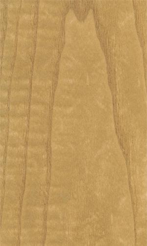 Ultra Veneers and Board Pvt. Ltd