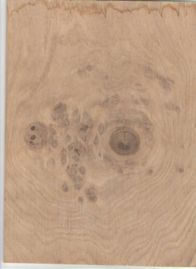 Ultra Veneers and Board Pvt. Ltd